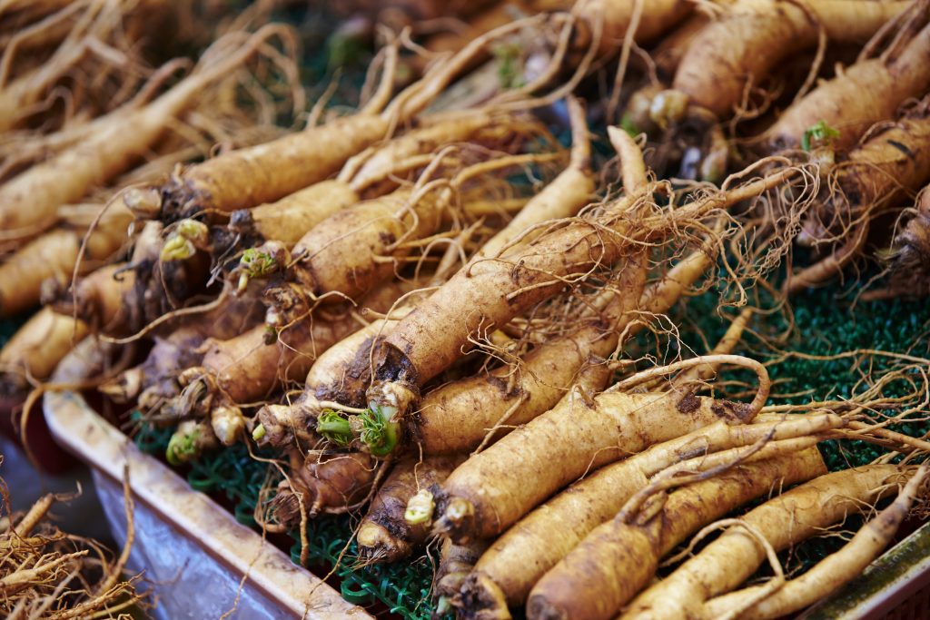 The Benefits of Ginseng Tea: A Sip of Vitality – Ooma
